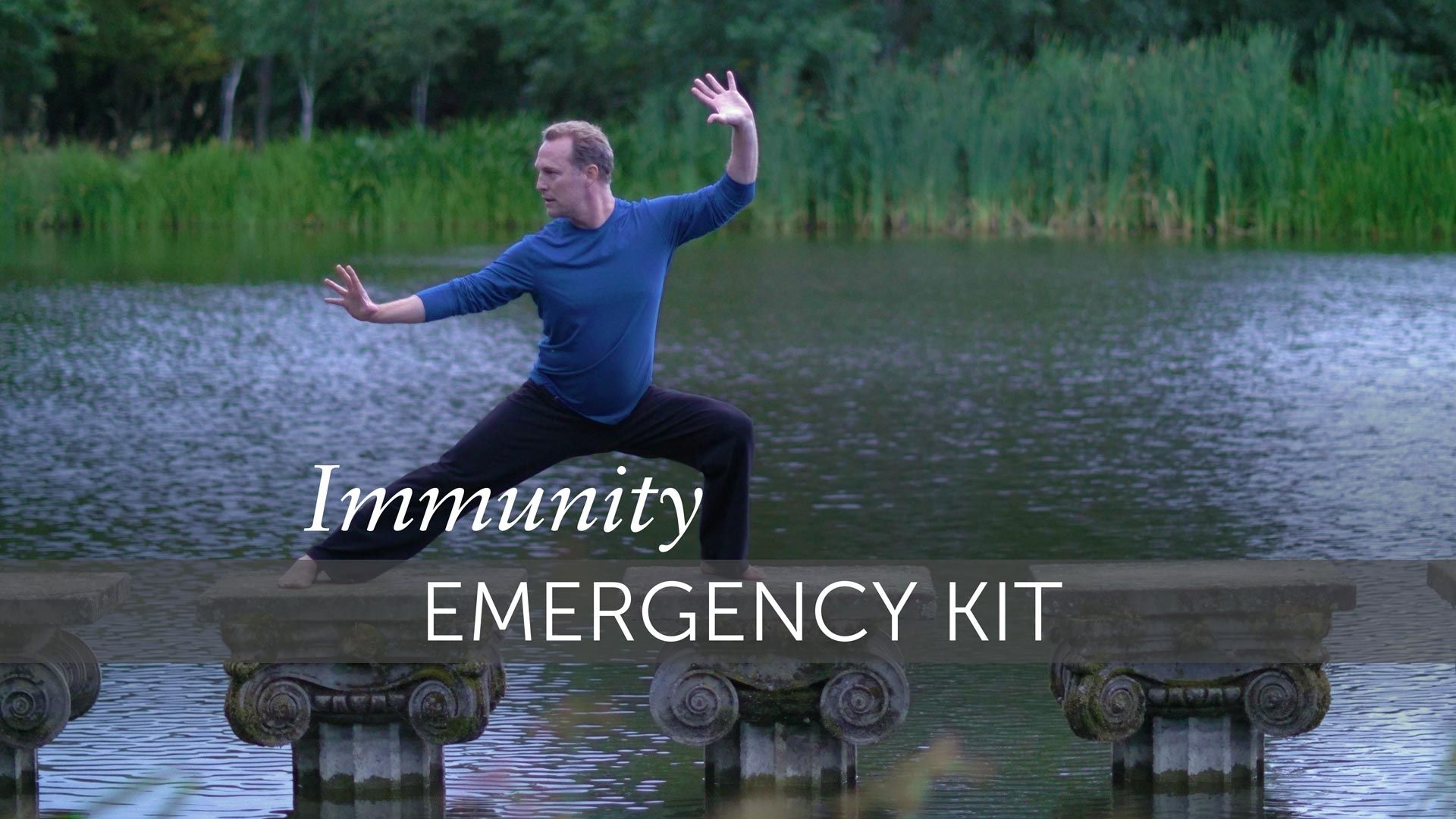 Immunity Emergency Kit