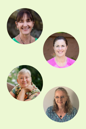 embrace online Program