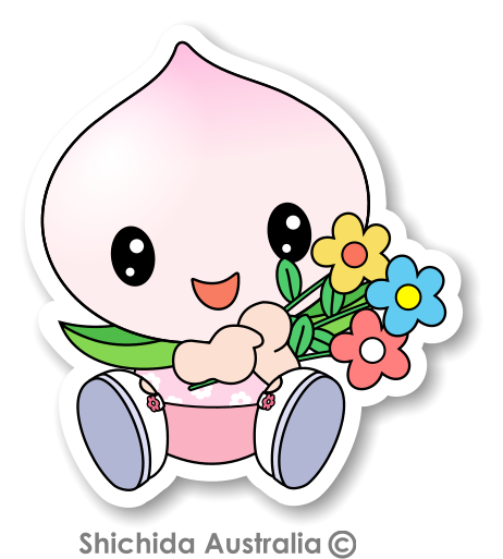 Shichida Learning Resources