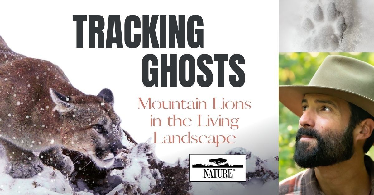 Tracking Ghosts